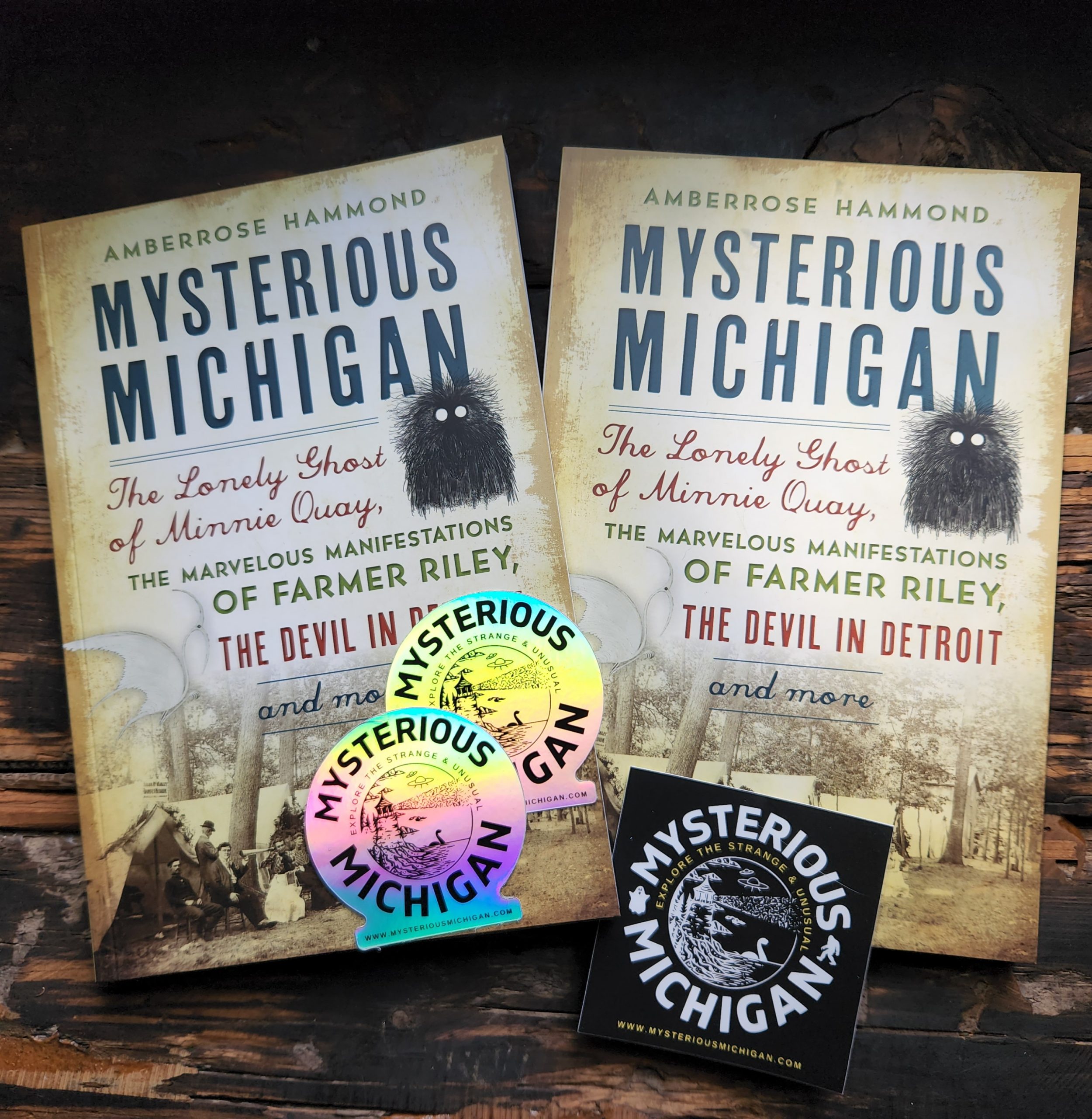 Mysterious Michigan Bookstore | Mysterious Michigan